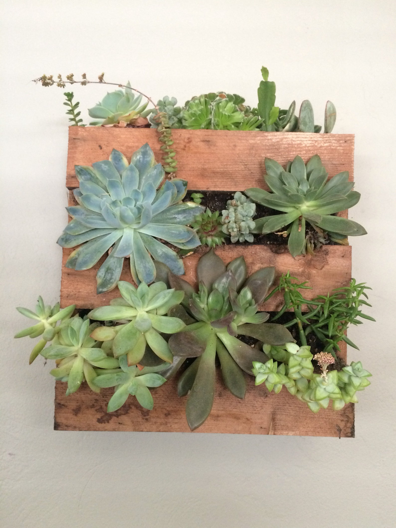 Pallet Planter Box mini 12x12 Inches - Etsy