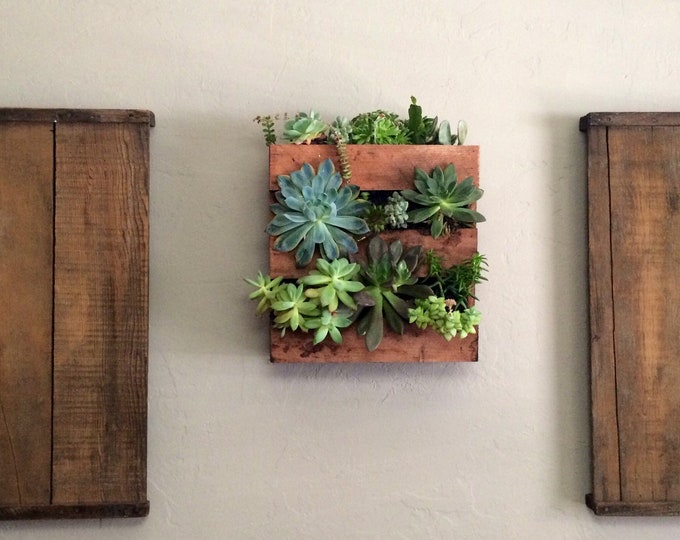 Pallet Planter Box mini 12x12 Inches - Etsy