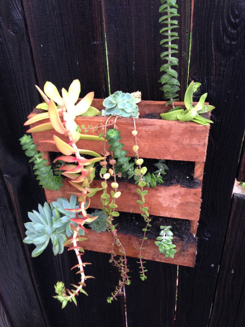 Pallet Planter Box mini 12x12 Inches - Etsy
