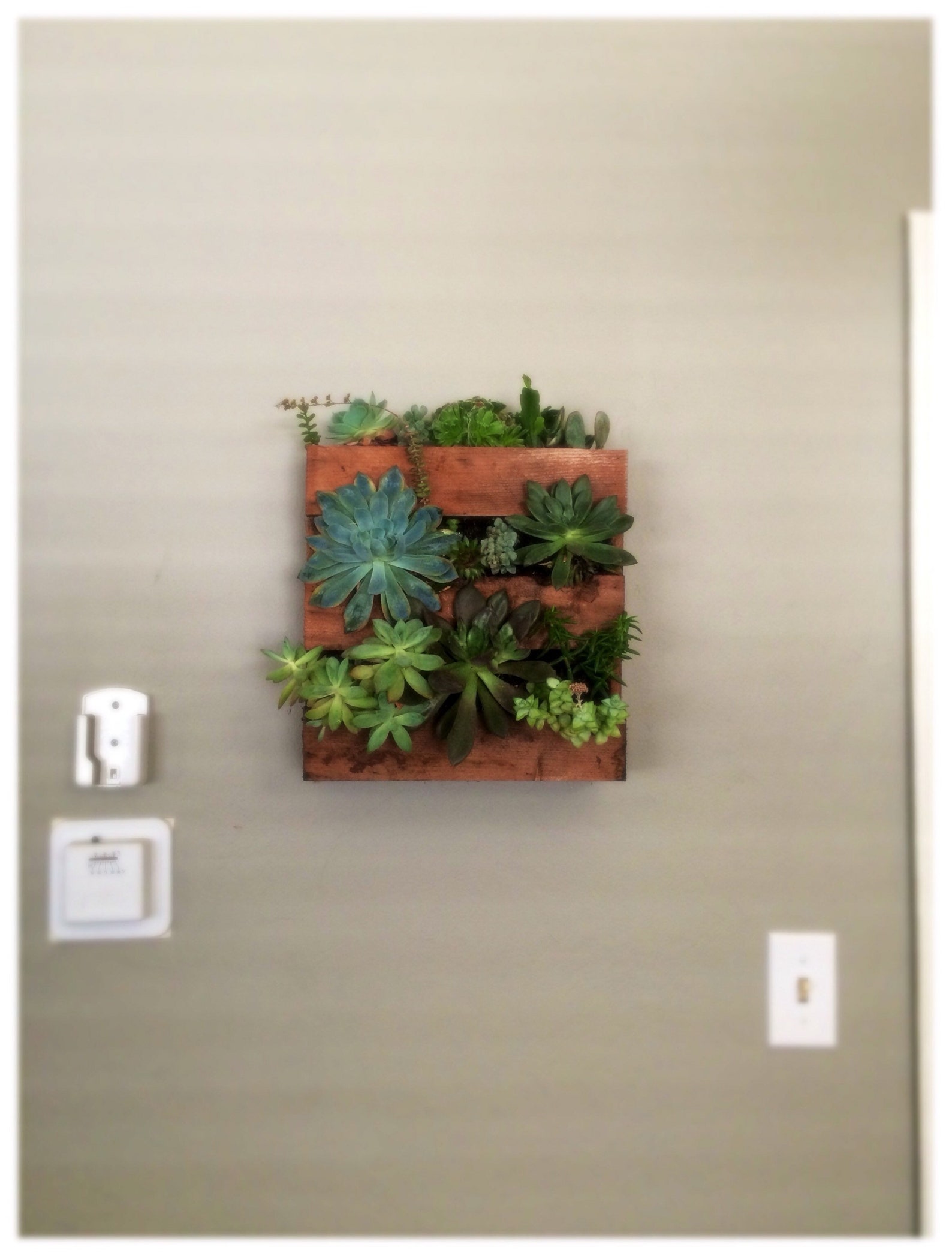 Pallet Planter Box mini 12x12 Inches - Etsy