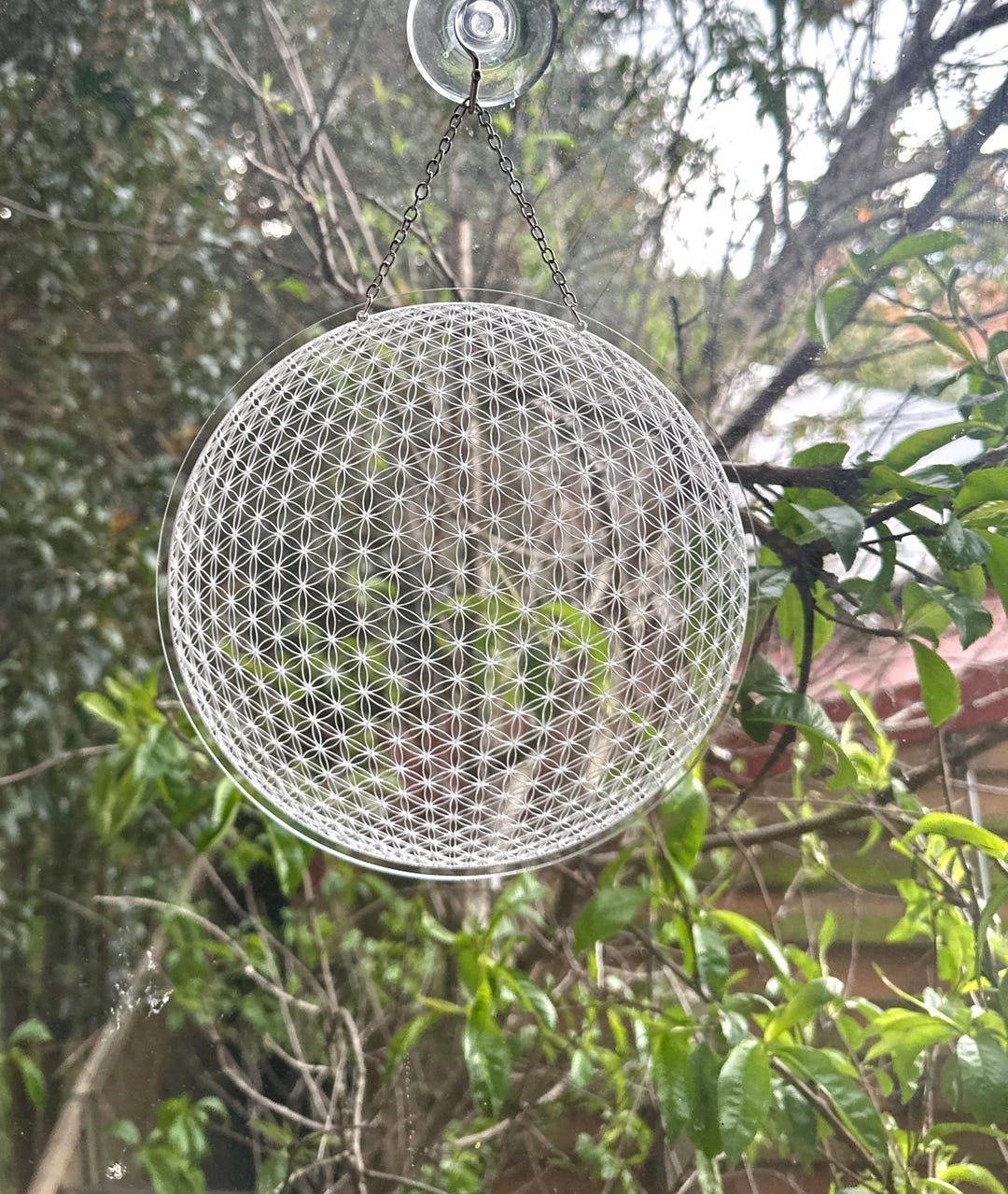 Flower of Life Variation - Flower of Life Universe- High Frequency- Sun ...