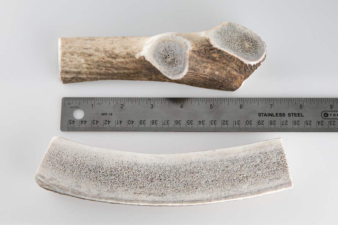 LARGE Split Elk/deer Antler Bones Dog Chews (1 Pack), Naturally Shed ...