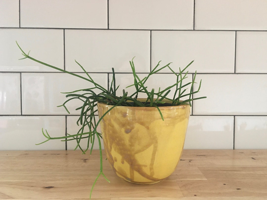Handmade Yellow Planter - Etsy