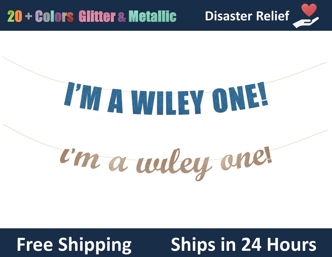 I'm A Wiley One Banner Wiley Birthday 1st Birthday - Etsy