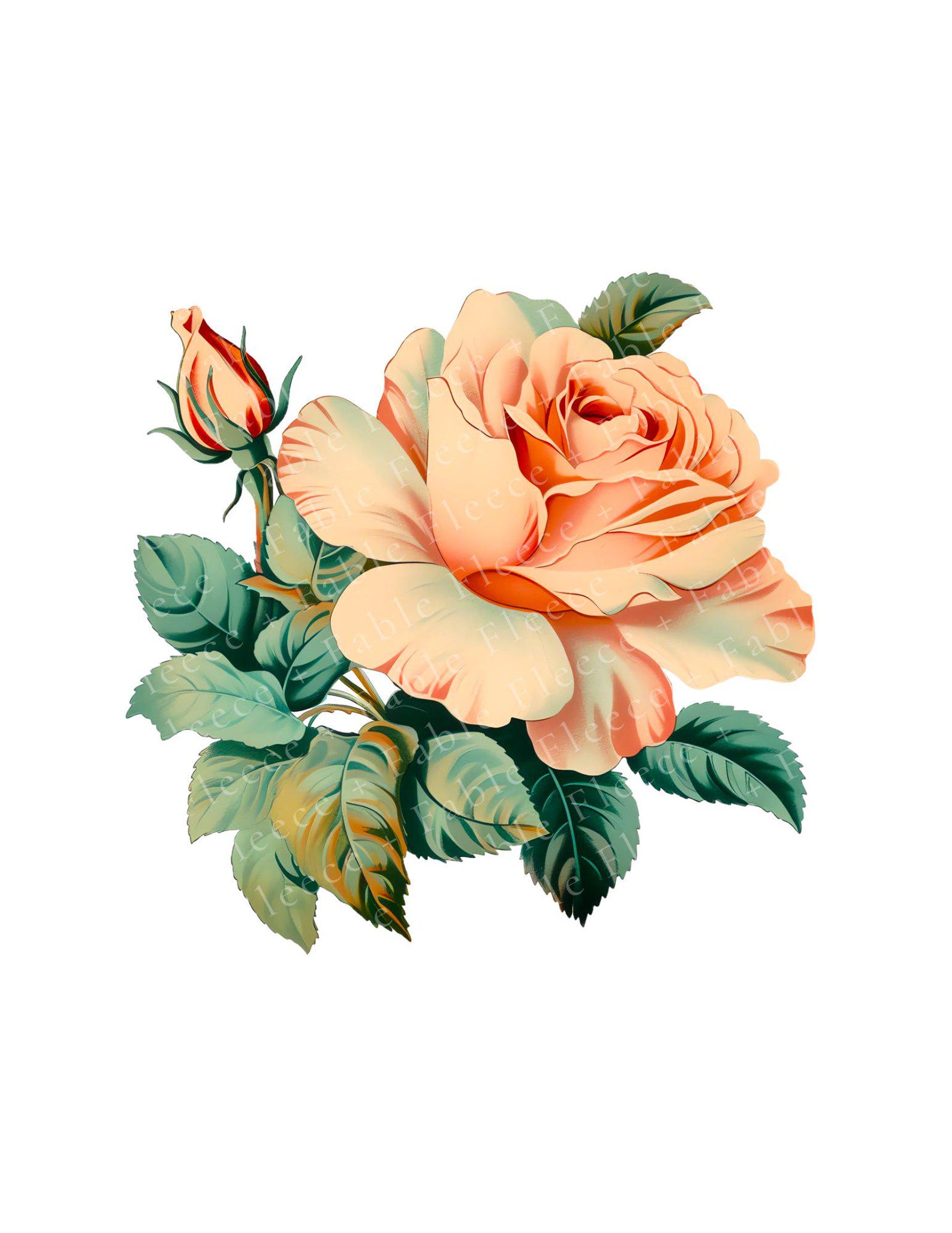 12 Peach Rose Clipart Set, Roses Collage Sheet for Junk Journals, High ...