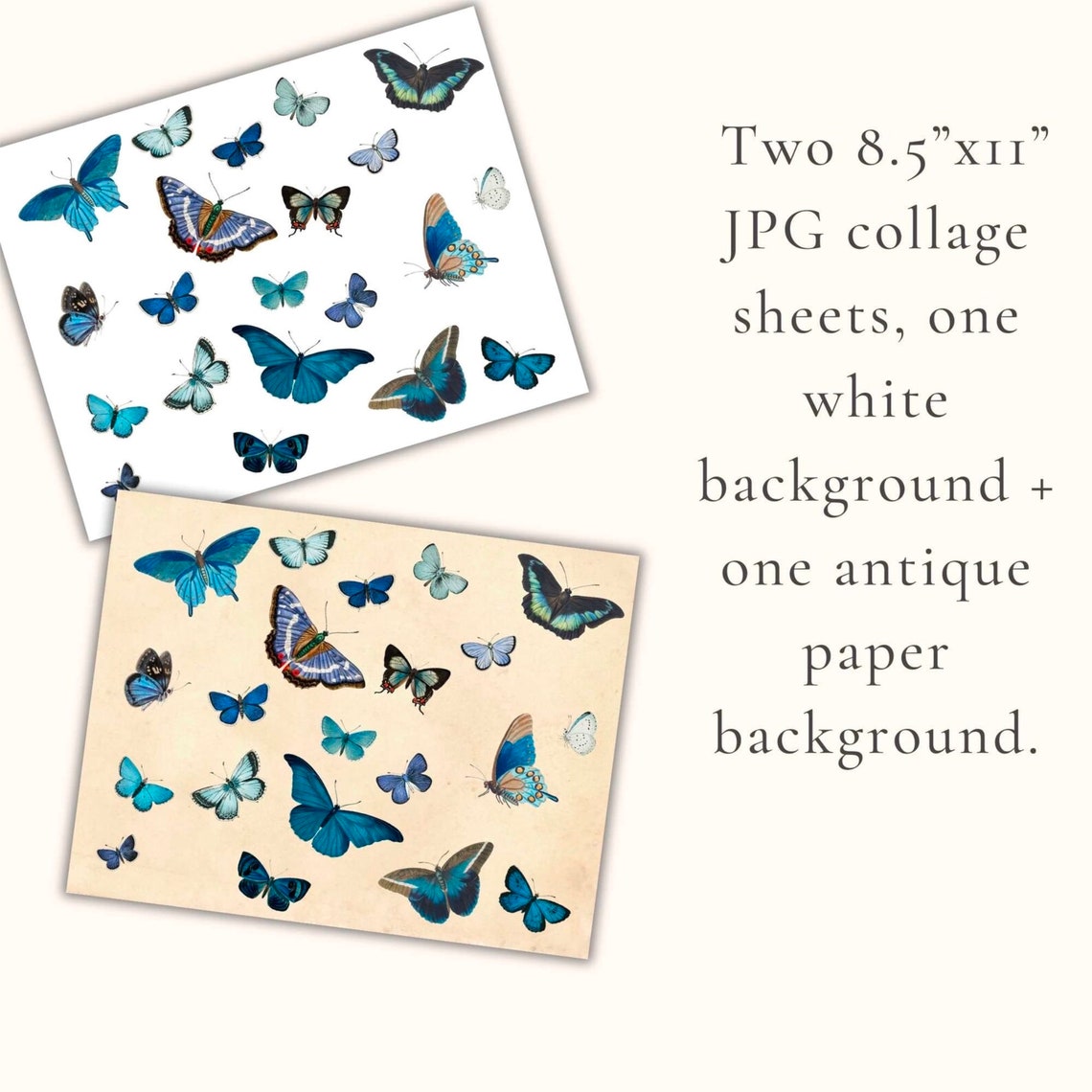 Butterfly Clipart | Blue Butterflies Collage Sheet | Butterfly Clip Art ...