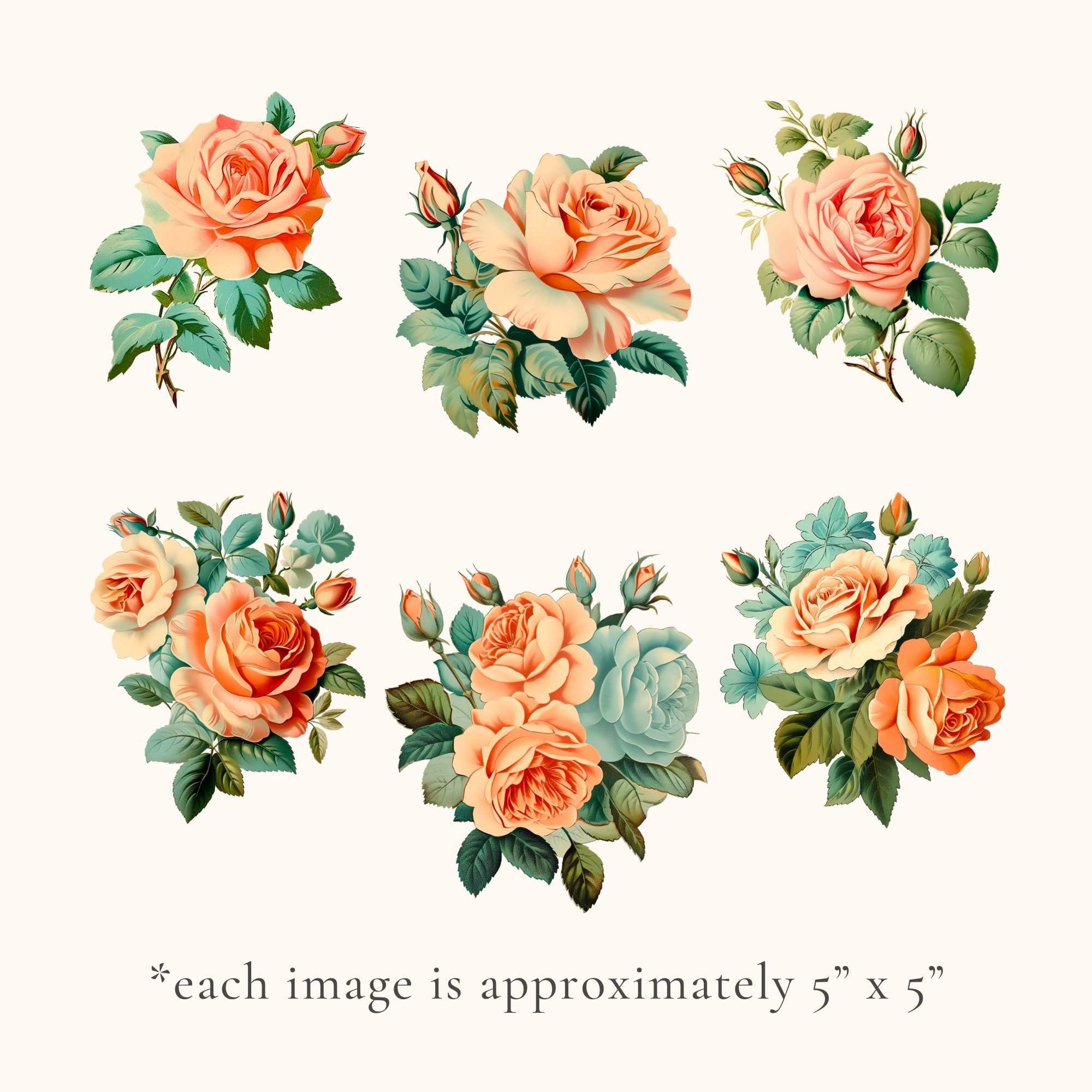 Rose Clipart Pack Sage Green Floral Junk Journal Clipart - Etsy