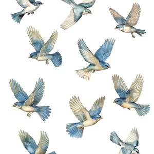 10 Victorian Blue Bird Clipart Set, High Quality Jpgs Pngs, Paper Craft ...