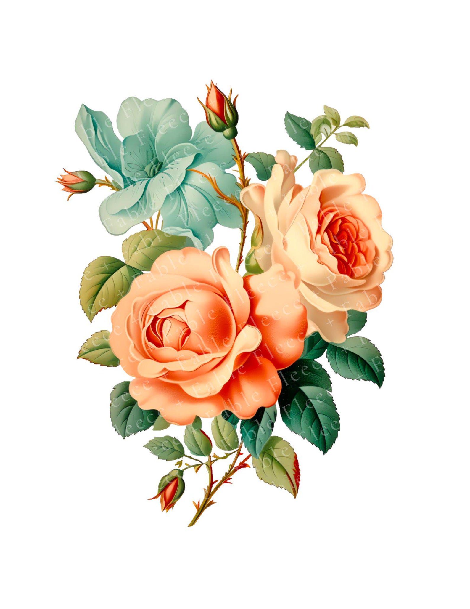 12 Peach Rose Clipart Set, Roses Collage Sheet for Junk Journals, High ...