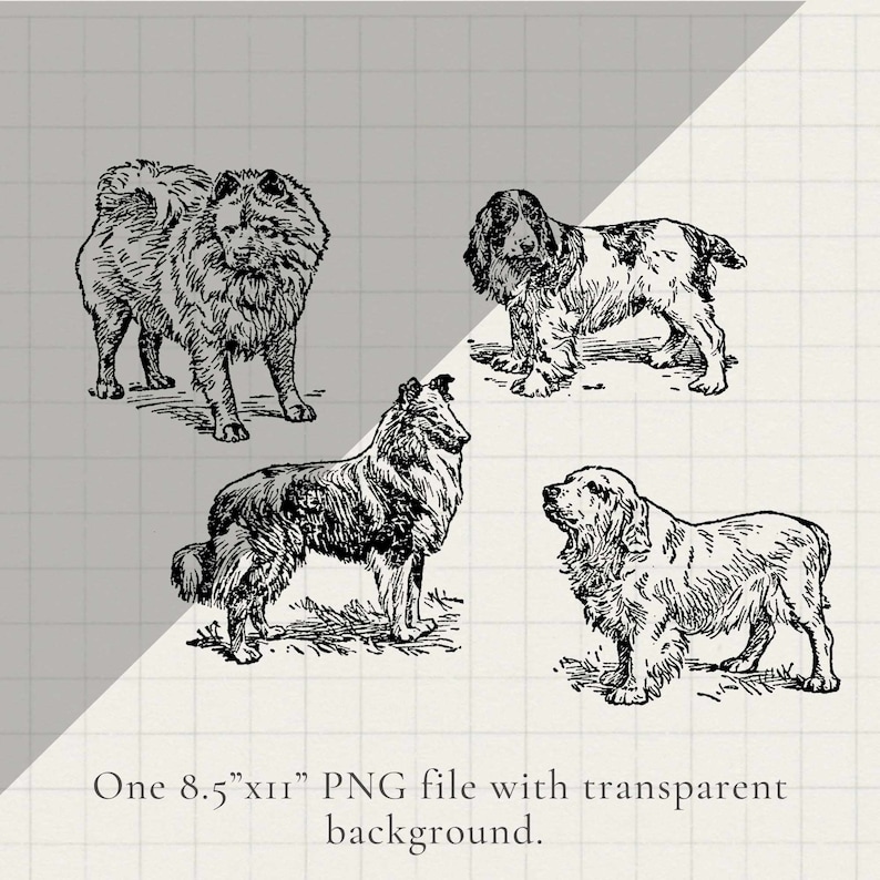 Dog Clipart | Dog Breeds Clip Art | Dog Printable Paper | Dog Ephemera ...