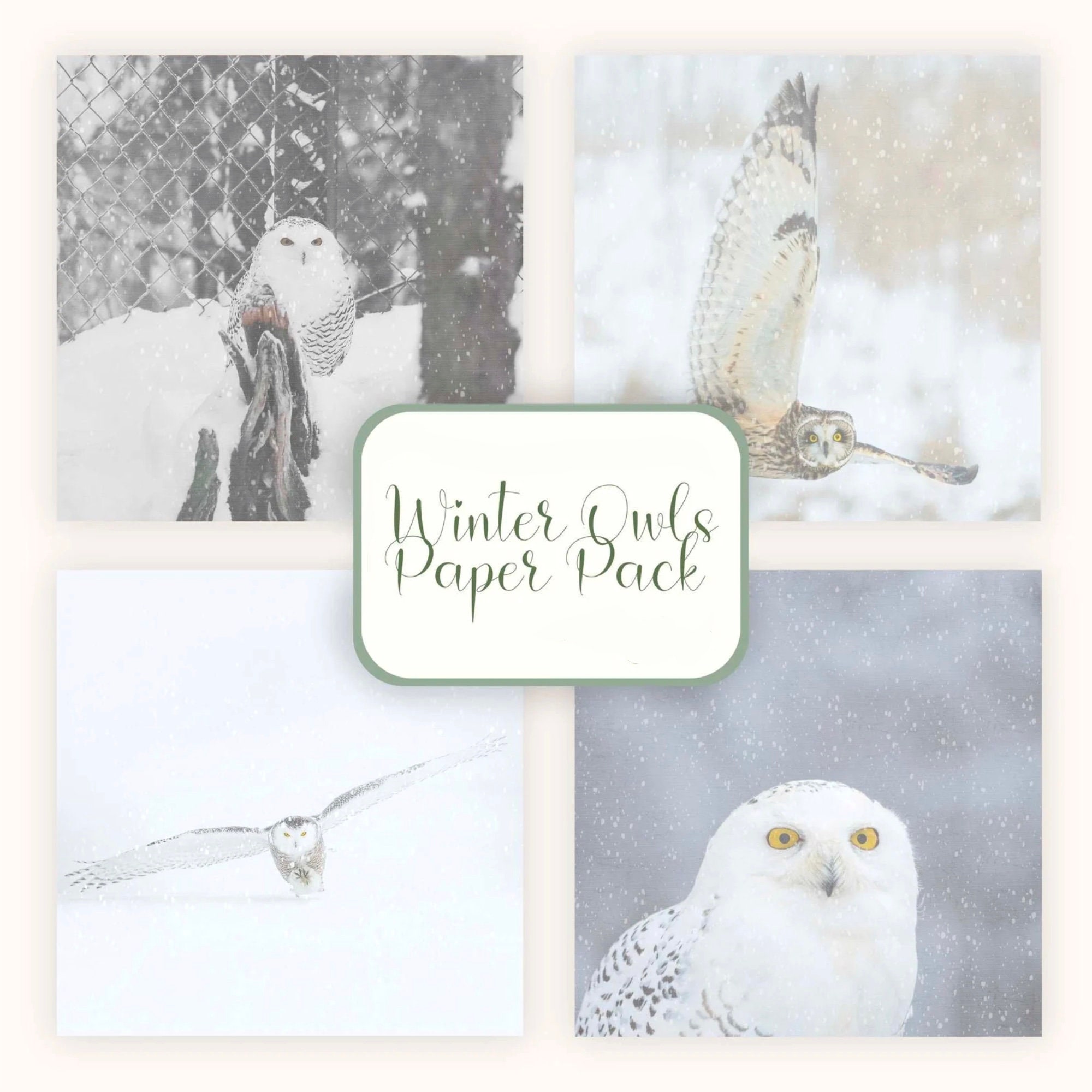 Owl Scrapbook Paper | Nature Journal Pages | 12x12 Owl Journal Paper ...