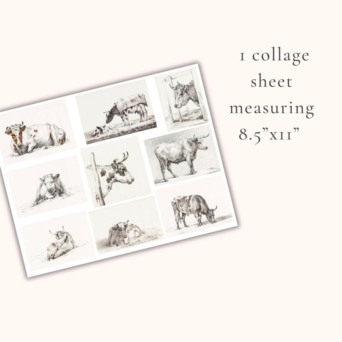 Cow Clipart | Barnyard Animals Collage Sheet | Cow Clip Art | Printable ...