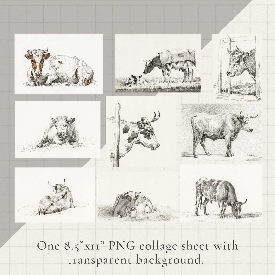 Cow Clipart | Barnyard Animals Collage Sheet | Cow Clip Art | Printable ...