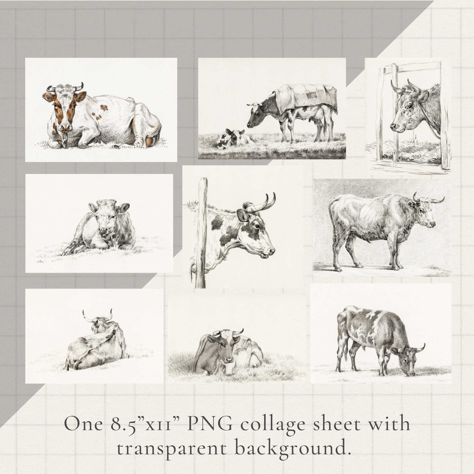 Cow Clipart | Barnyard Animals Collage Sheet | Cow Clip Art | Printable ...