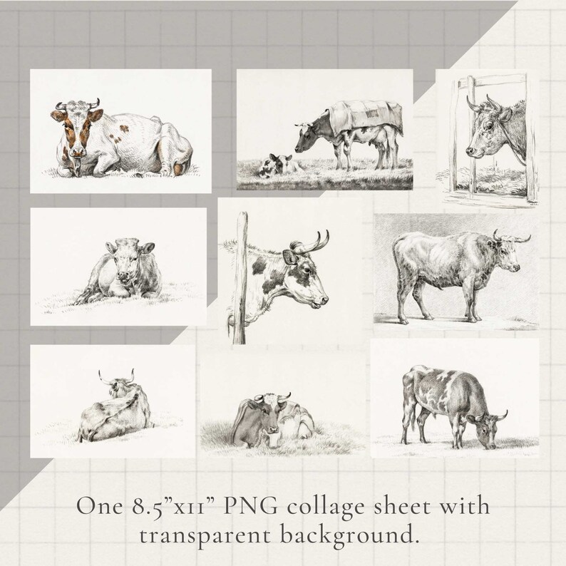 Cow Clipart | Barnyard Animals Collage Sheet | Cow Clip Art | Printable ...