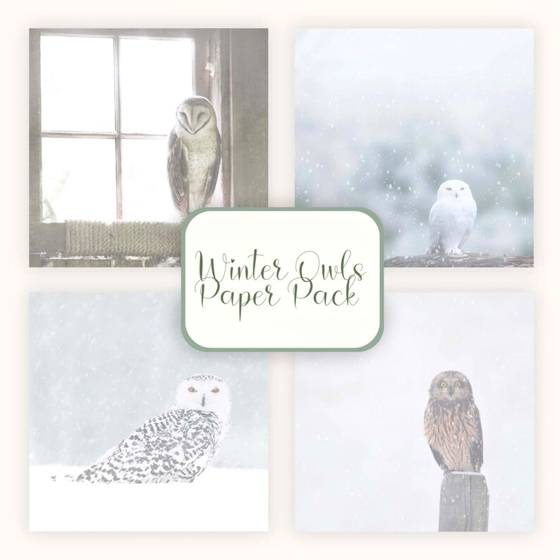 Owl Scrapbook Paper | Nature Journal Pages | 12x12 Owl Journal Paper ...