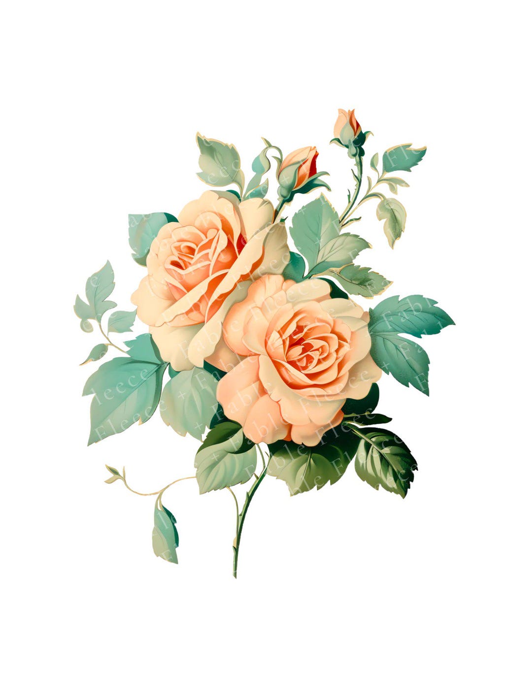 12 Peach Rose Clipart Set, Roses Collage Sheet for Junk Journals, High ...