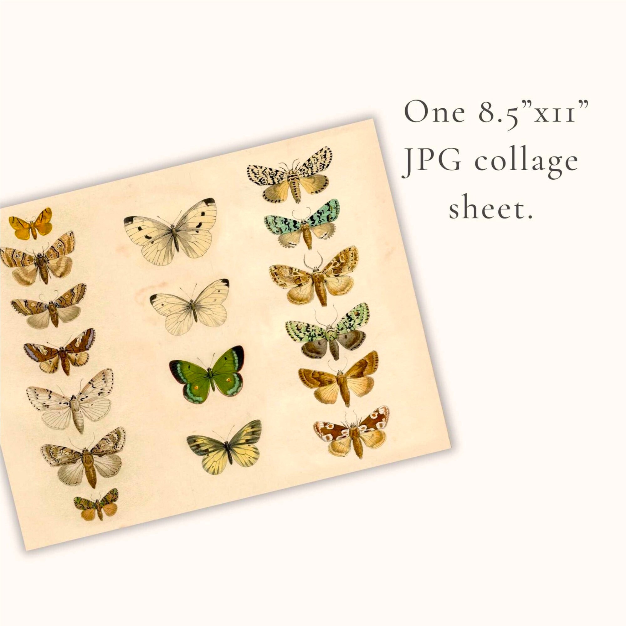 Butterflies Collage Sheet | Butterfly Printable Paper | Junk Journal ...