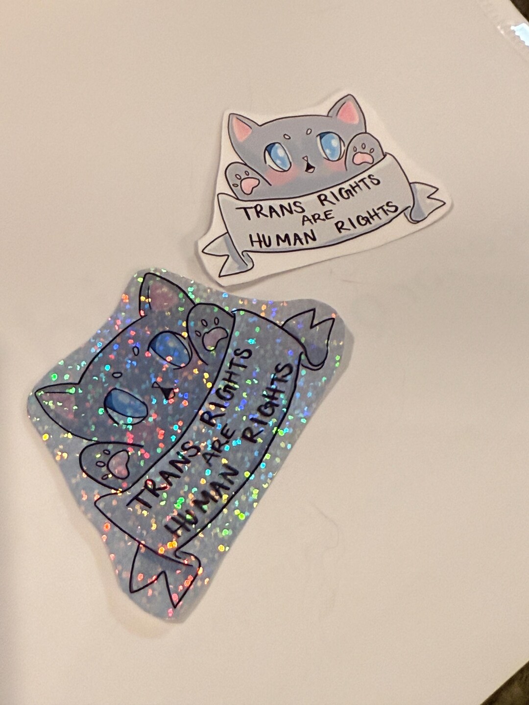 Trans Rights Anime Cat Sticker: Hand-drawn Illustration - Etsy