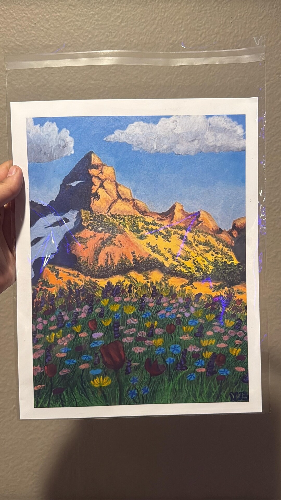 Mountainside Wildflower Field Art Print: Pacific Northwest Landscape - Etsy