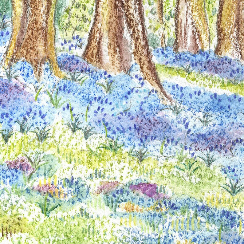 Bluebell Woods Print Woodland Art Watercolour Flower Print Bluebells ...