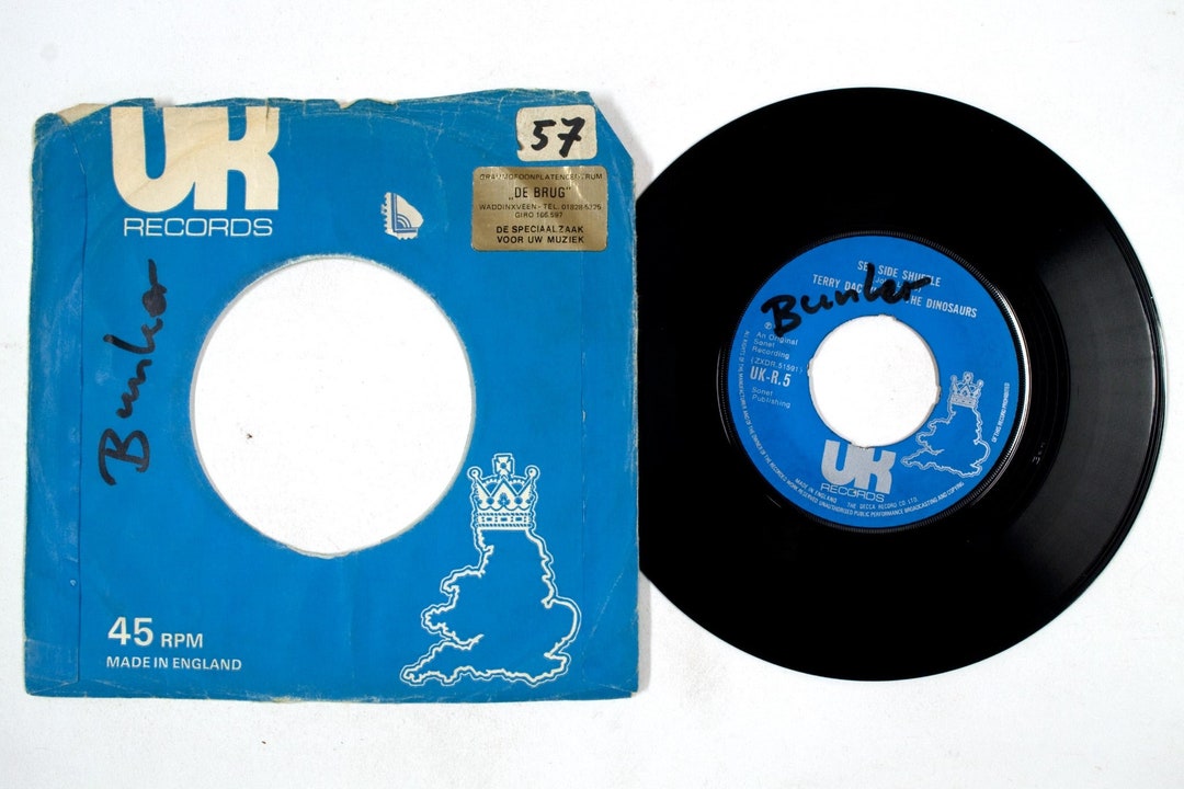 Terry Dactyl and the Dinosaurs Sea Side Shuffle 7 - Etsy