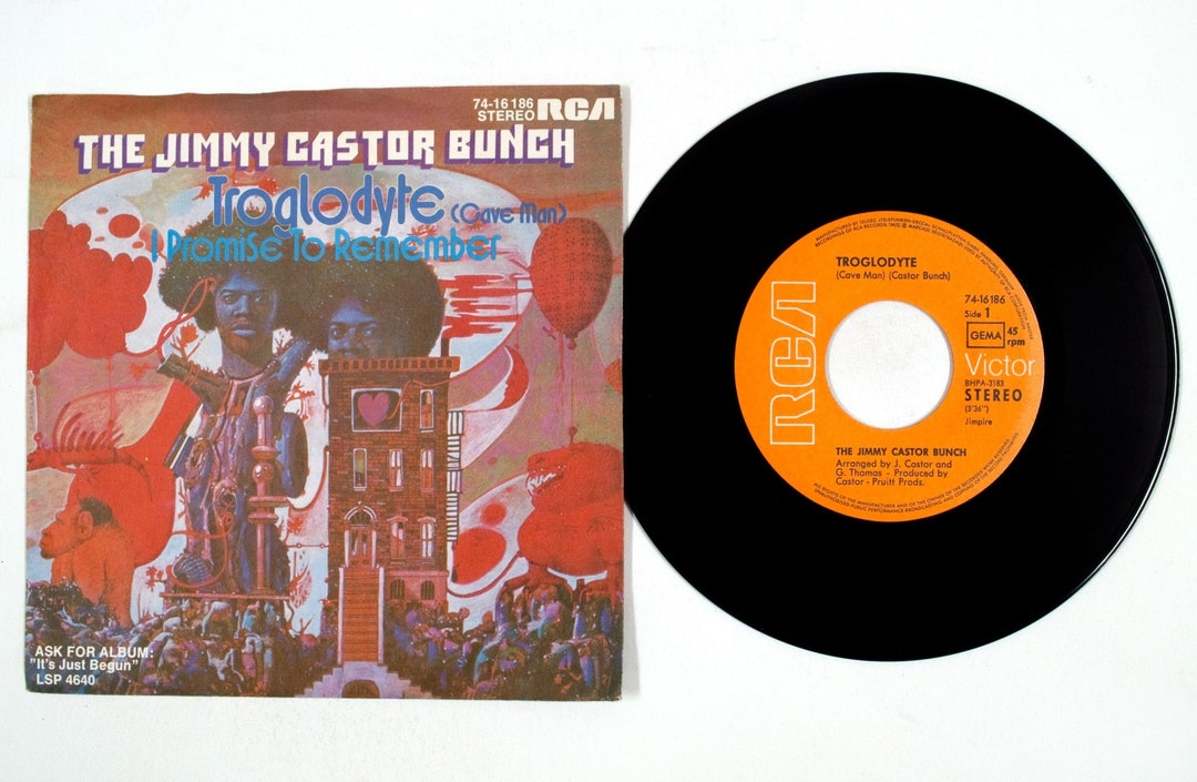 The Jimmy Castor Bunch Troglodyte cave Man 7 Vinyl VG/VG - Etsy