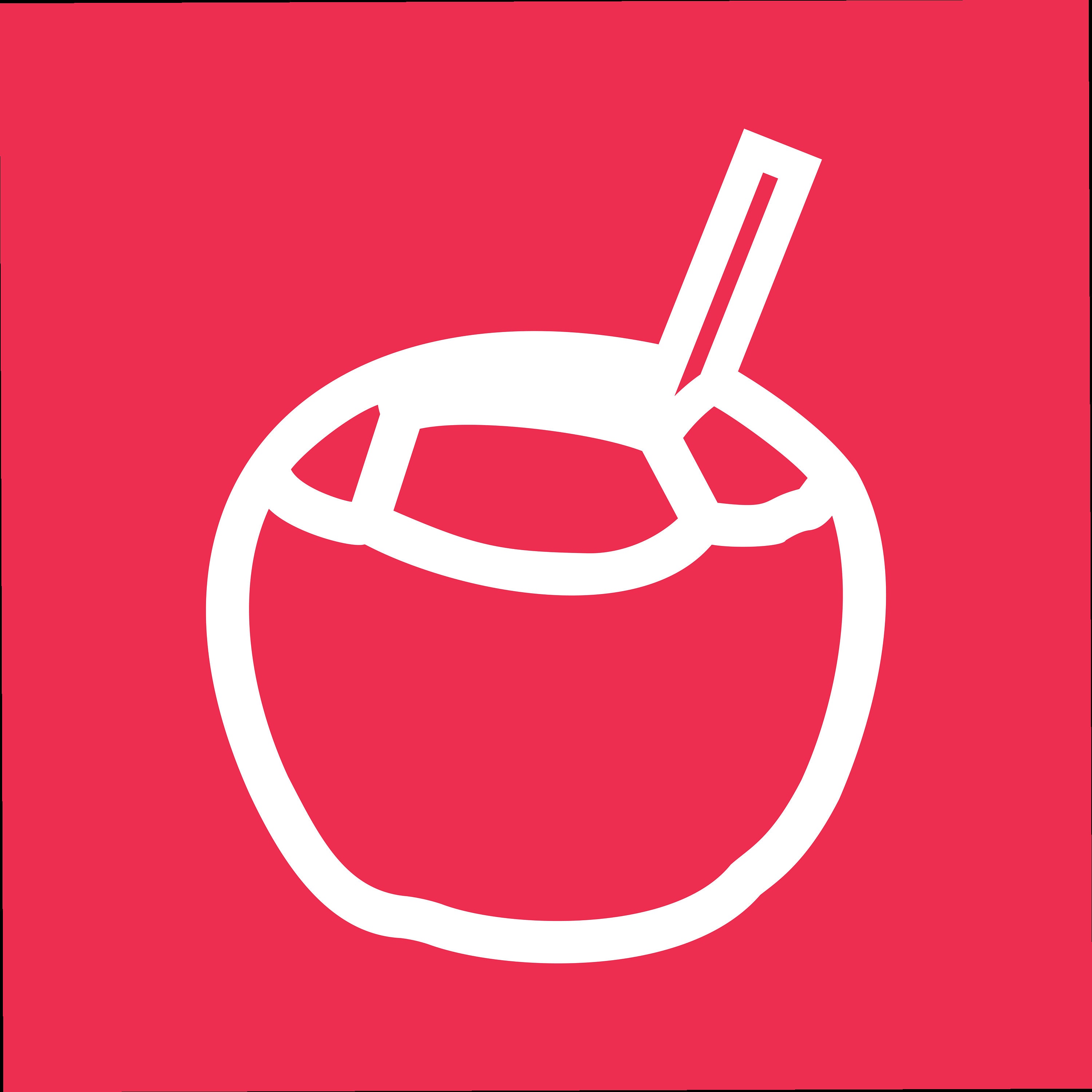 Coco Frio Decal Coconut Water Boricua Foods Puerto Rico | Etsy UK