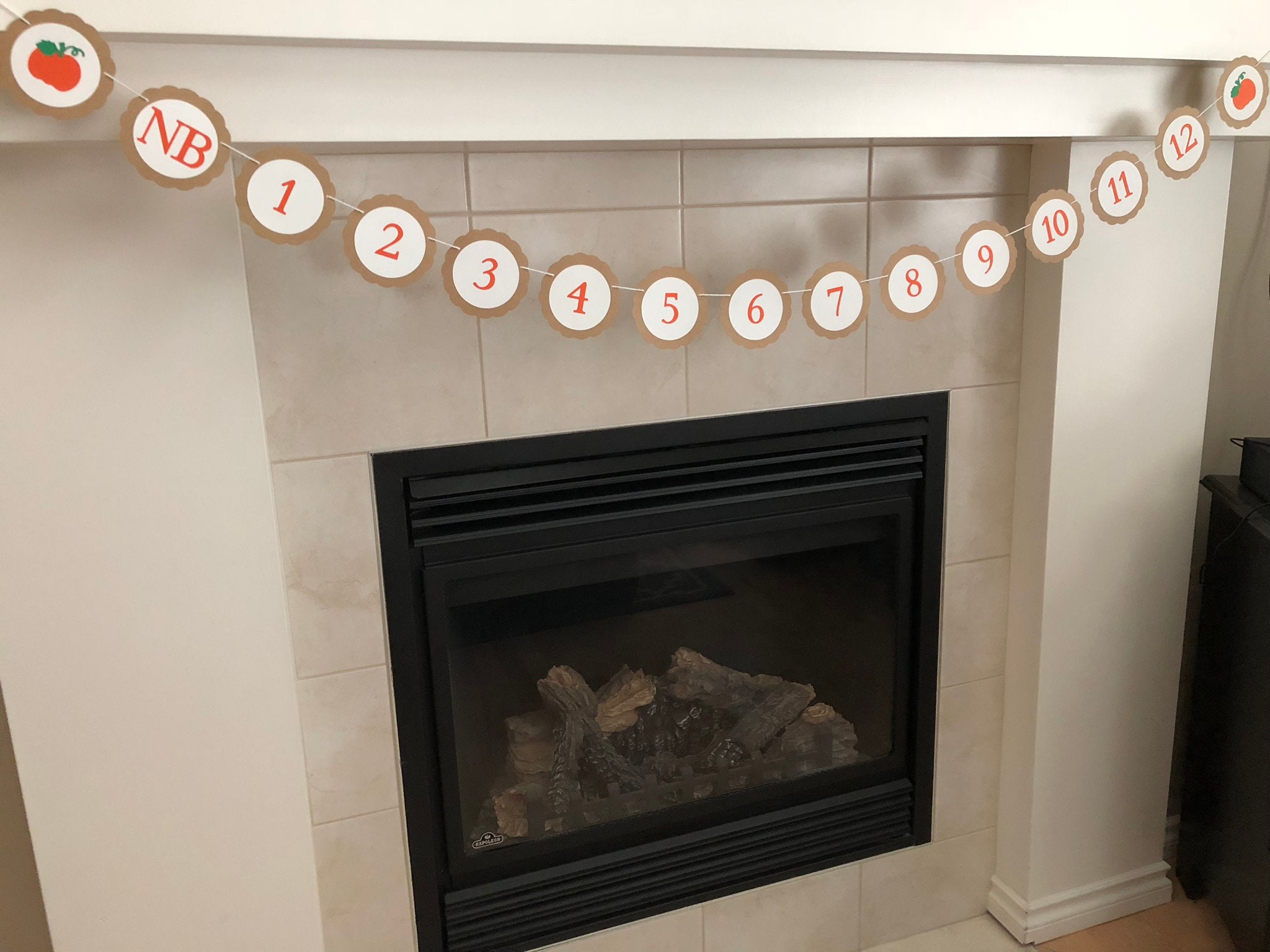 Pumpkin NB-12 Month Banner Monthly Photo Banner Pumpkin | Etsy