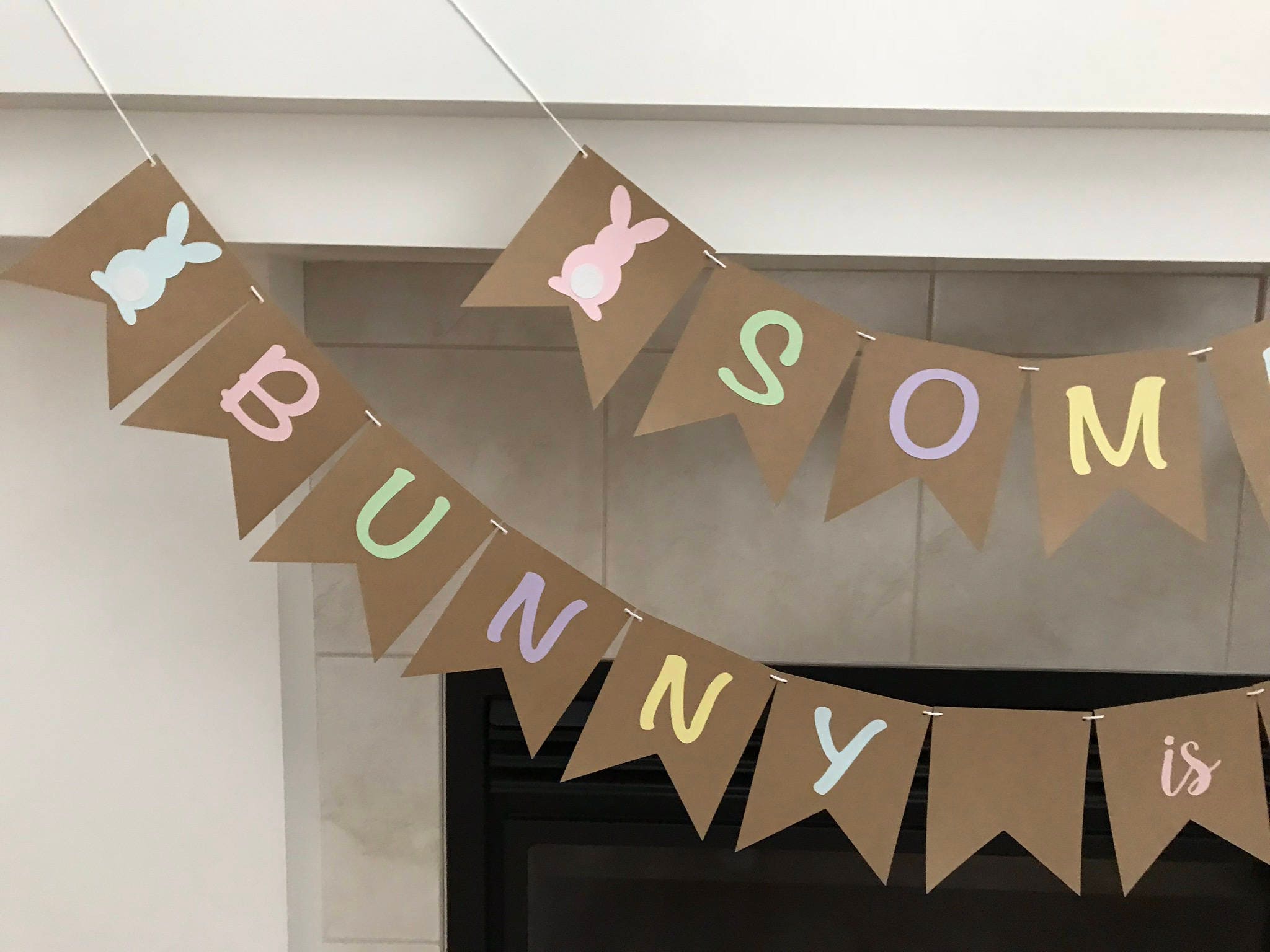 Some Bunny is One Bunny Birthday Banner First Birthday - Etsy