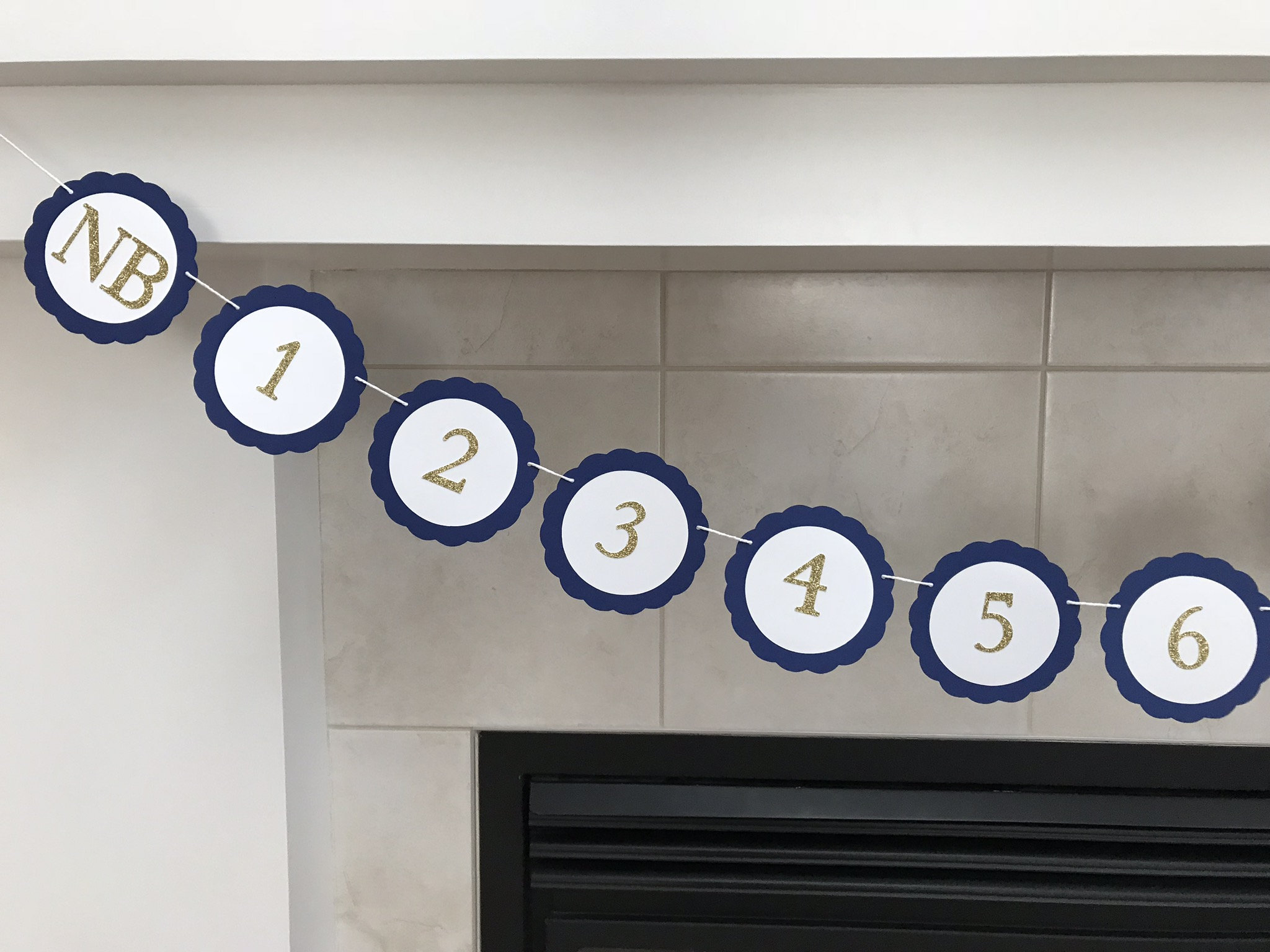 NB-12 Month Photo Banner Monthly Photo Banner First Birthday - Etsy
