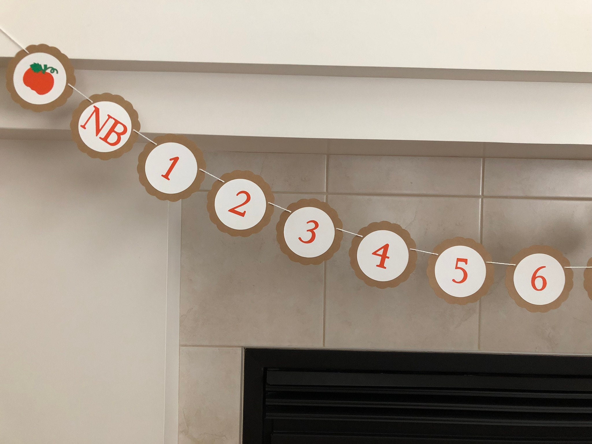 Pumpkin NB-12 Month Banner Monthly Photo Banner Pumpkin | Etsy