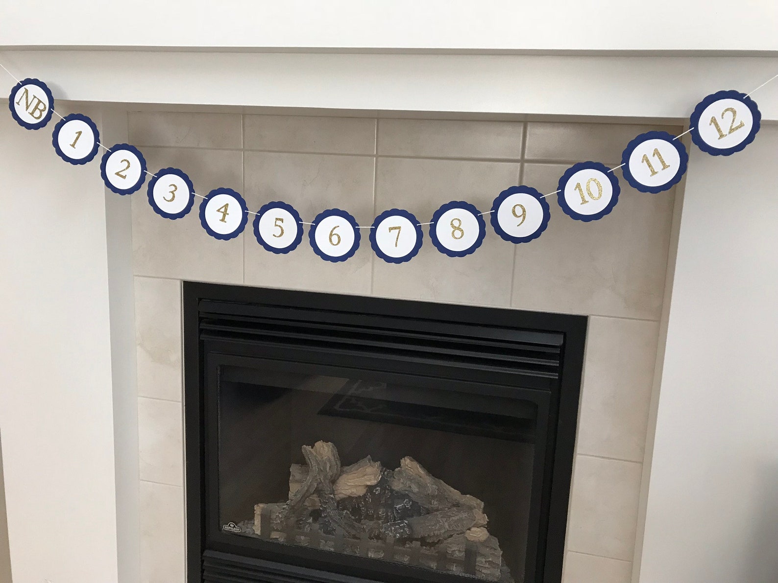 NB-12 Month Photo Banner Monthly Photo Banner First Birthday - Etsy