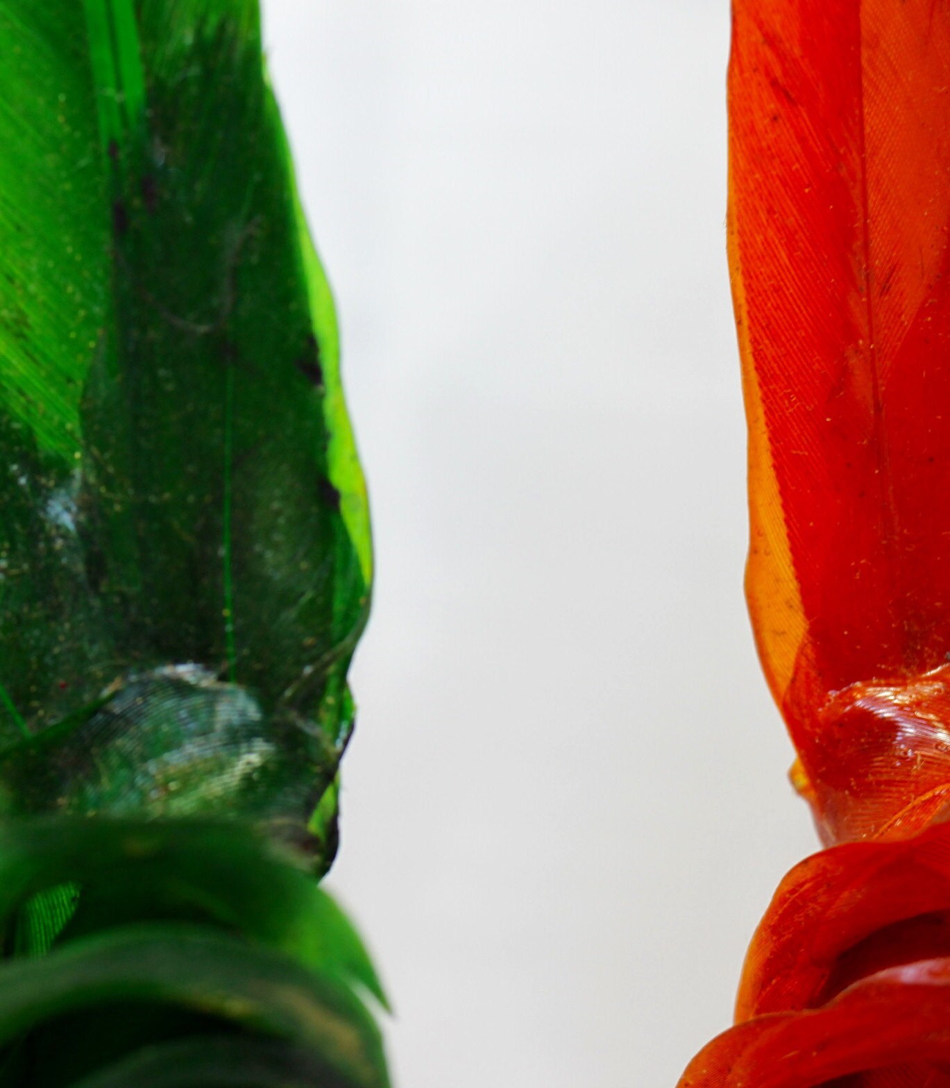 Orange Long Eagle Feathervintage 30sgreat Vintage Feather - Etsy