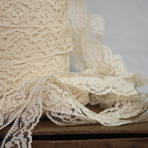 Vintage Soft Beige Lace, Ribbon of Lace, Beige Roses Pattern Lace ...