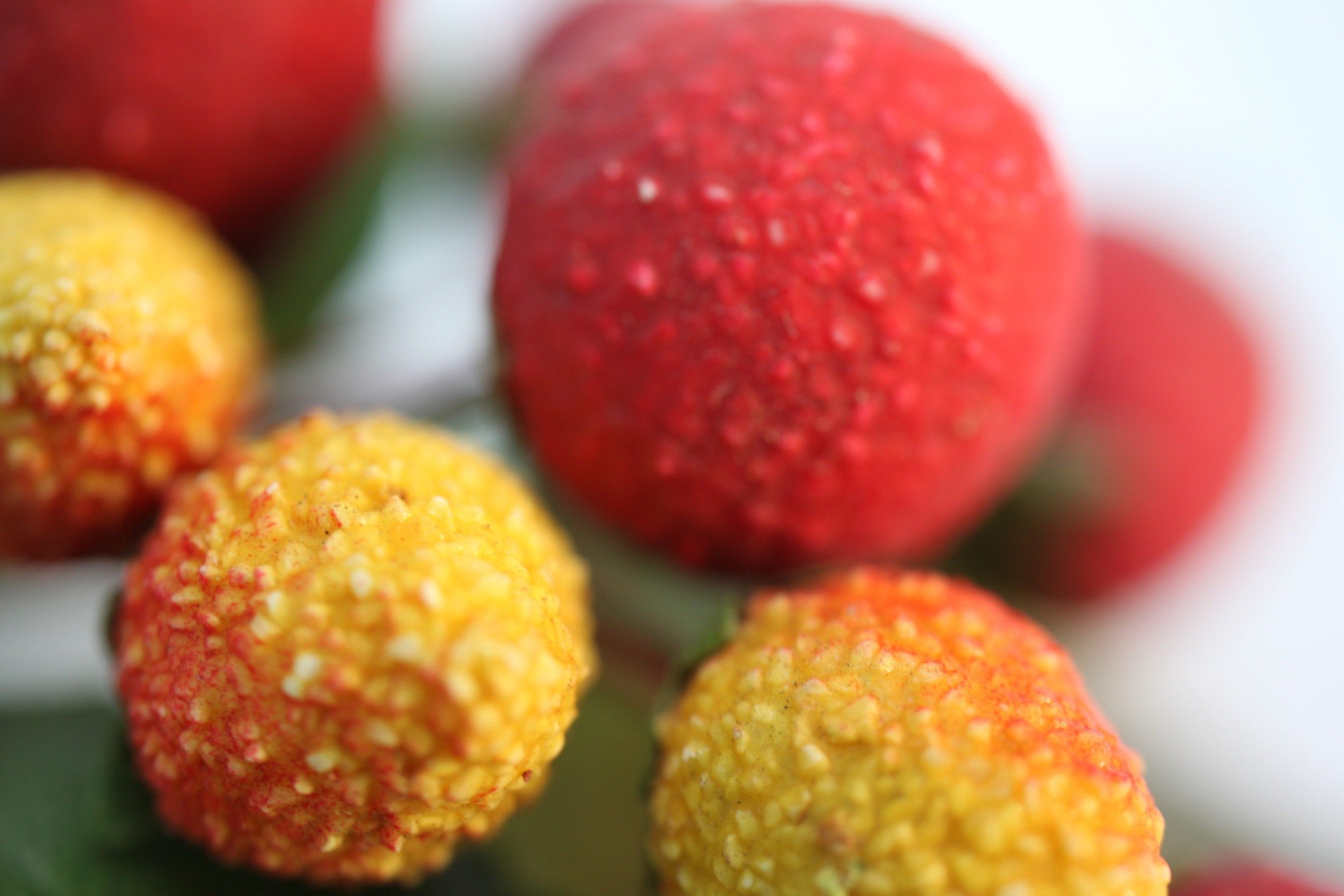 Antique Resin Fruitsvintage 30s-40svintage Garnish of - Etsy Denmark