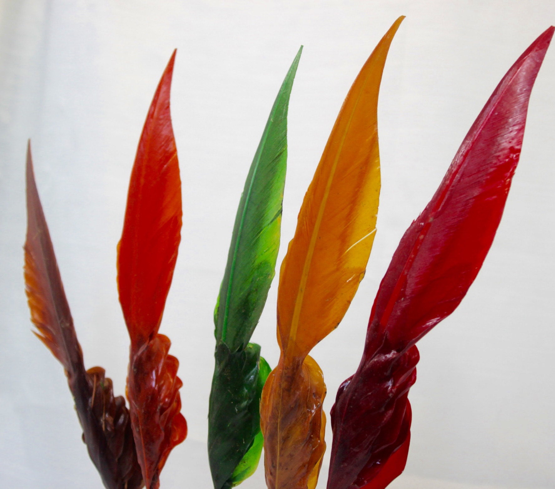 Orange Long Eagle Feathervintage 30sgreat Vintage Feather | Etsy