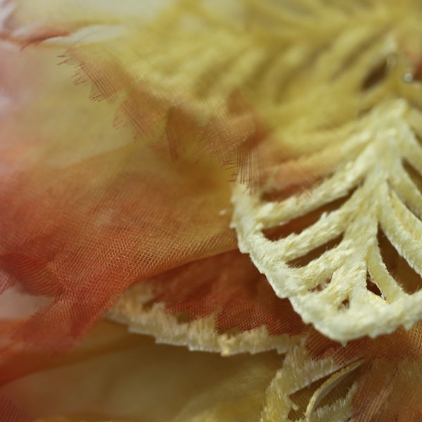 French Frills Embroidery - Etsy