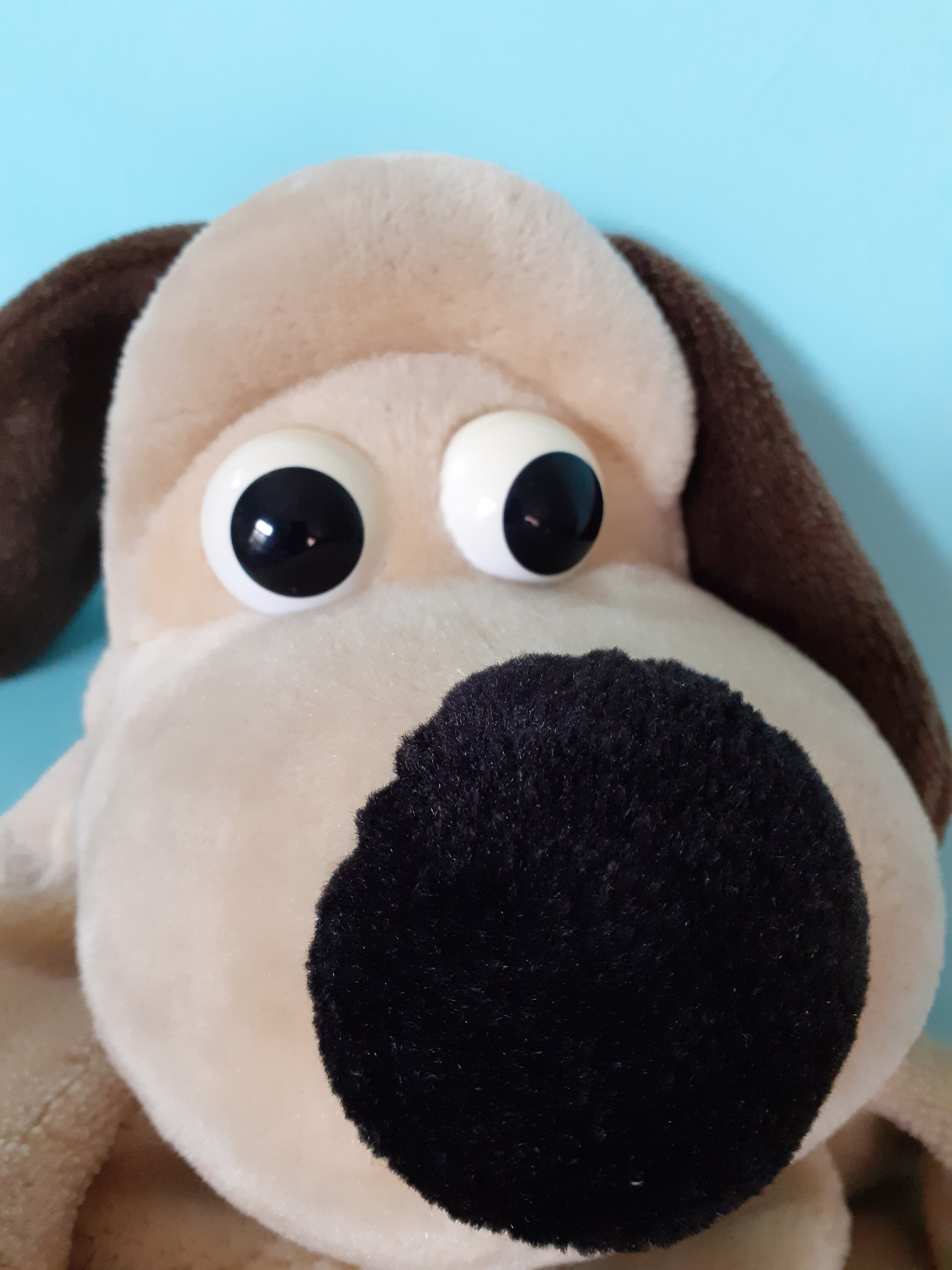 Wallace and Gromit Large Gromit Water Bottle Cover or Pyjama - Etsy UK