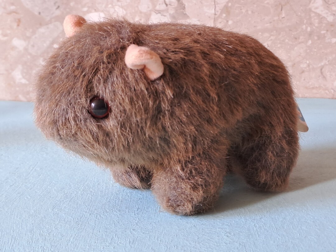 Vintage Kanley Baby Wombat Teddy Bear - Australian Souvenir Plush ...