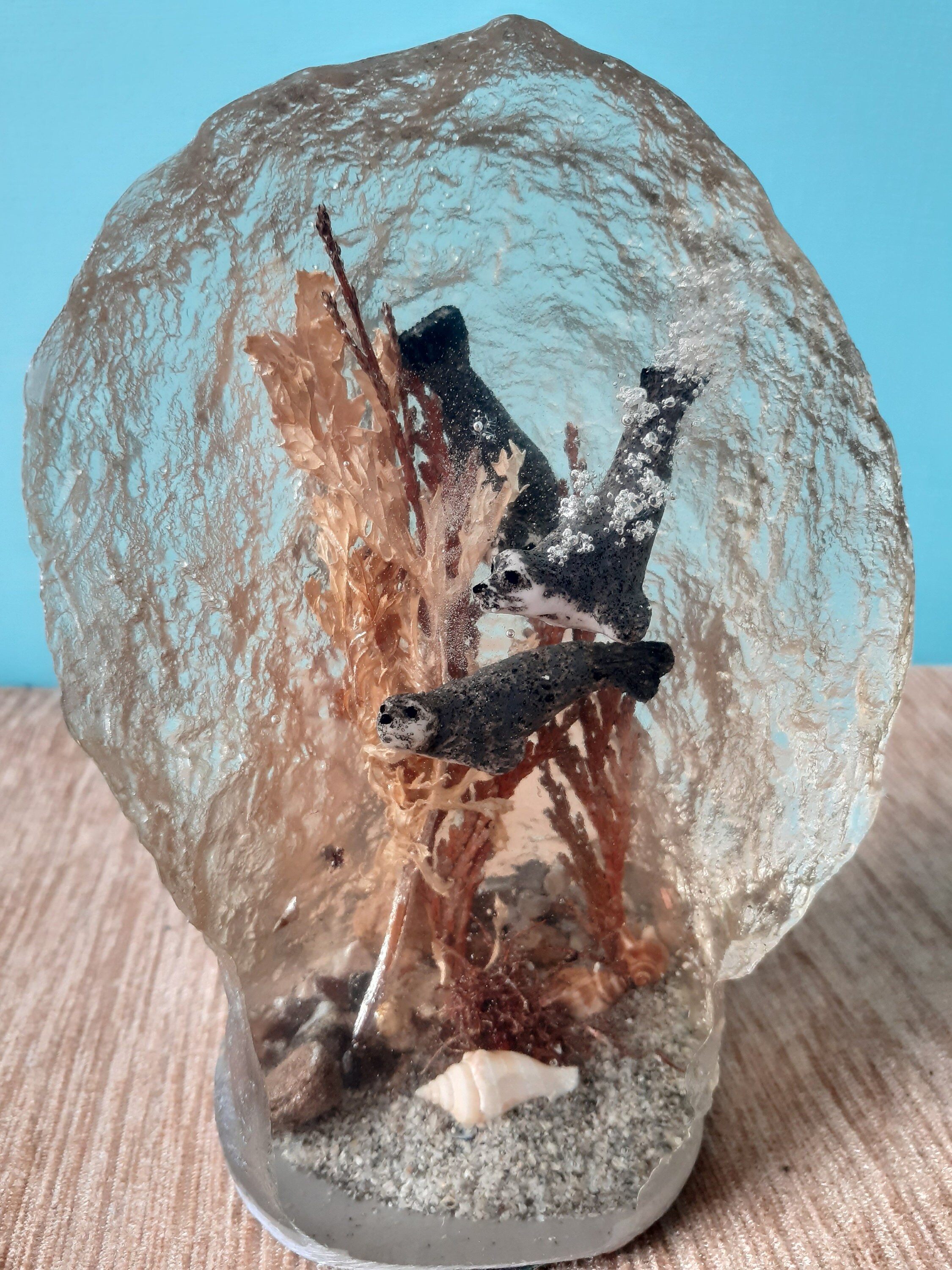 Lucite 3 Seals Diving Shells Sea-life Coral Light Catching | Etsy