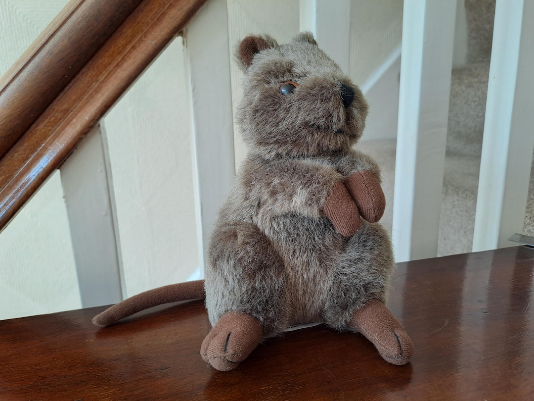Cute Rare Quokka Stuffed Plush Toy Vintage Western Australia Museum ...
