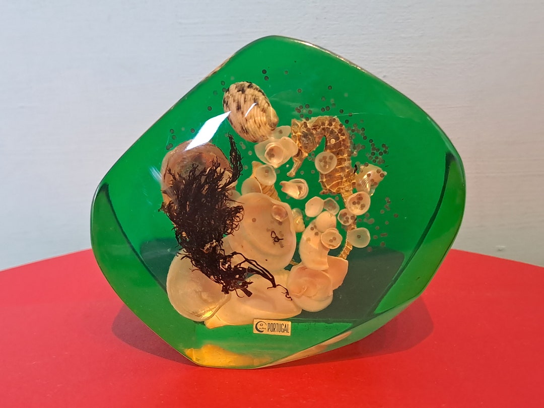 Vintage 1960s Lucite Paperweight With 3D Sea Life Shells - Etsy