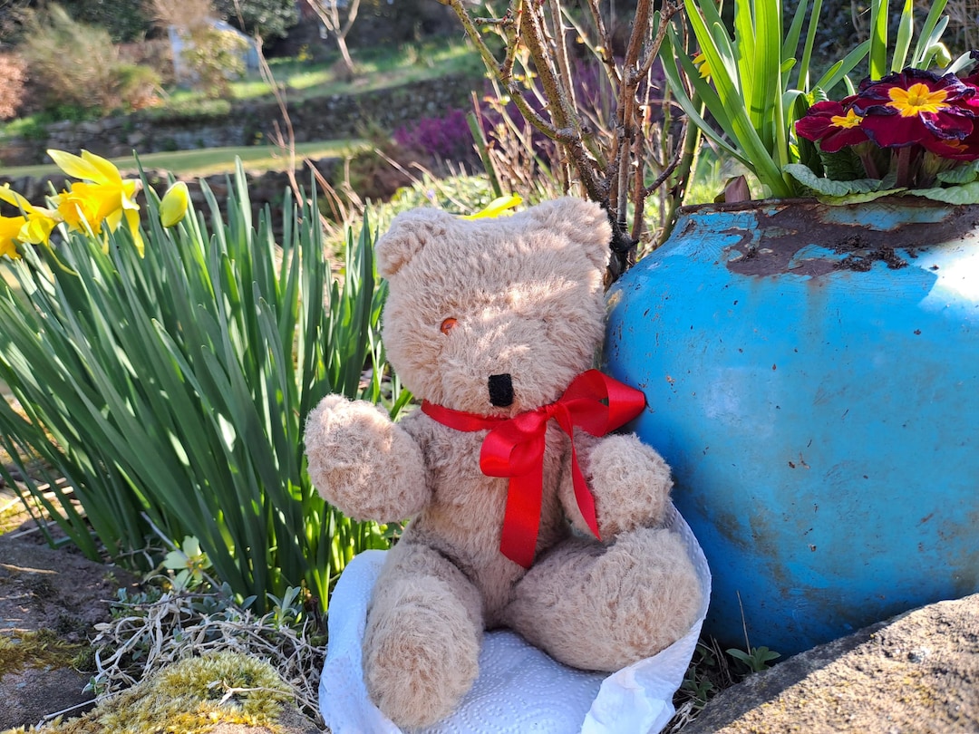 Wendy Boston 1960s White Teddy Bear With One Eye - Rare Collectable ...