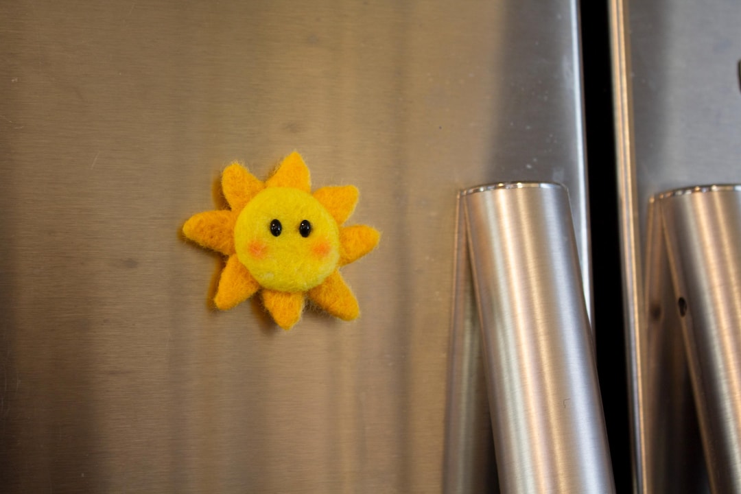 CUSTOM Made-to-order Felt Animal Magnet: Handmade Wool Fridge Decor - Etsy