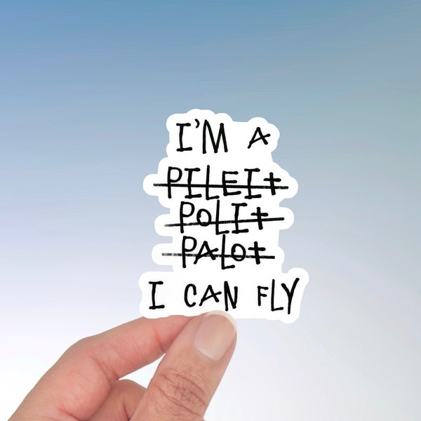 Pilot Stickers - Etsy