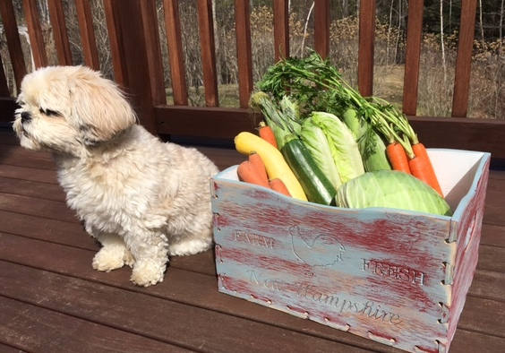 Wooden Box, Farm Box, Harvest Box, Garden Box, Mother's Day, Father's ...