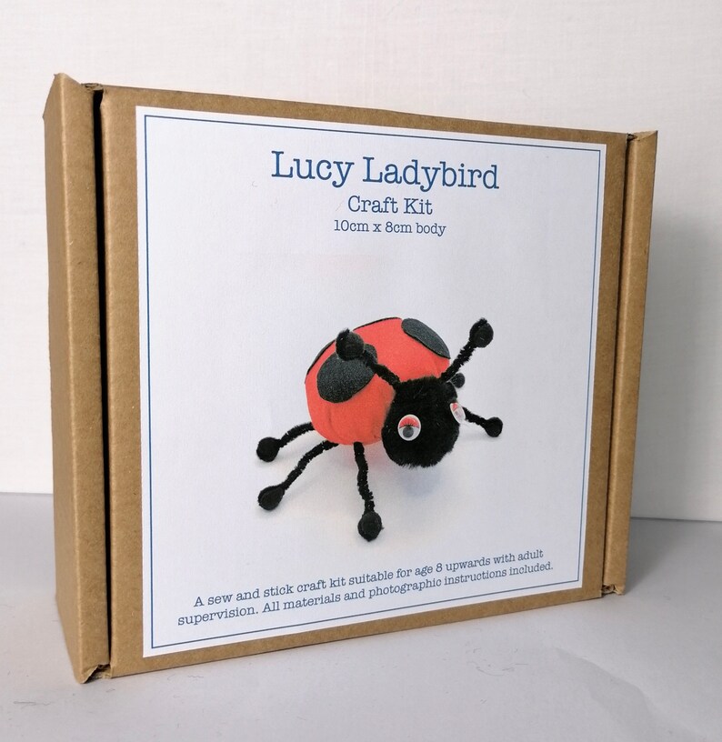 Lucy Ladybird Craft Kit - Etsy