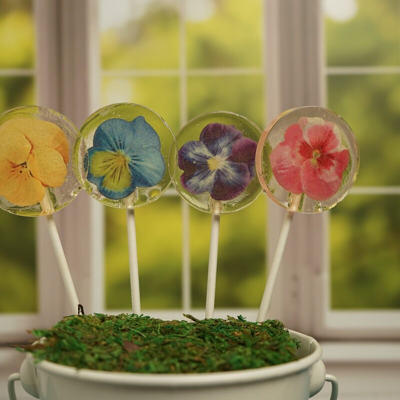 Lollipops - Etsy