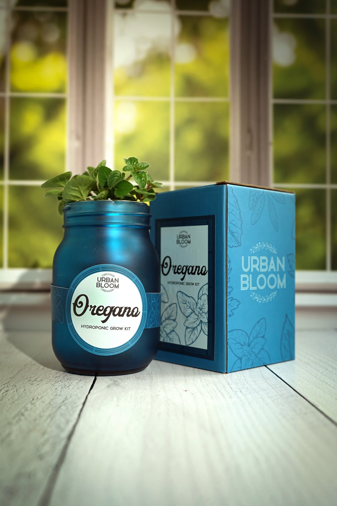 Oregano DIY Herb Kit for Indoor Herb Garden - Hydroponic Herb Growing ...